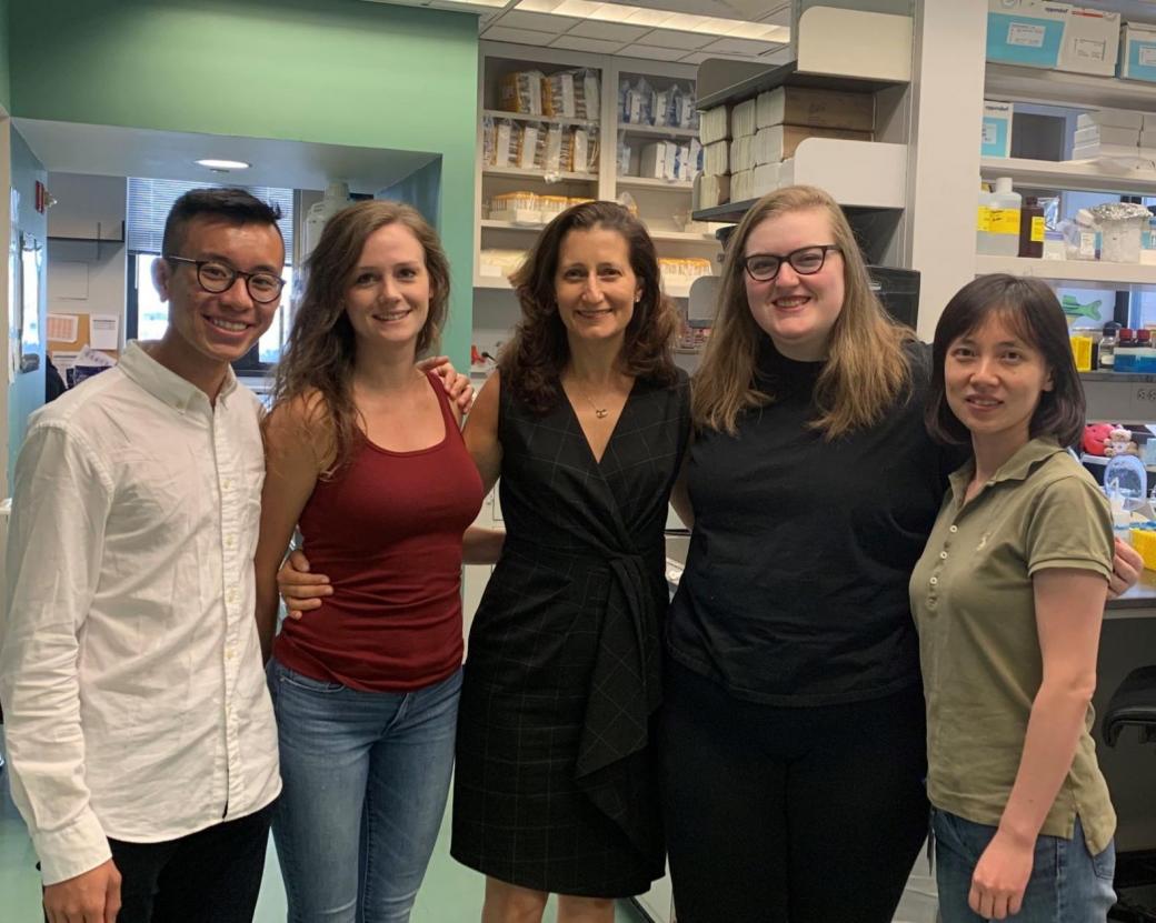 July 2020: Targoff Lab | Columbia Stem Cell Initiative - CSCI