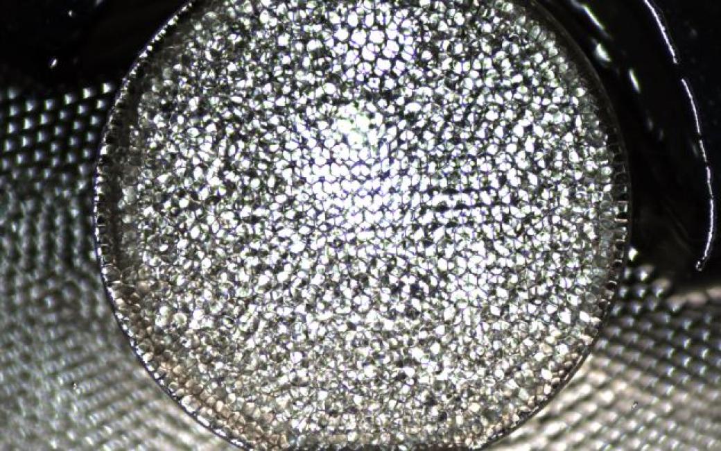 Announcing the 2022 CSCI Photo Contest Winners | Columbia Stem Cell ...