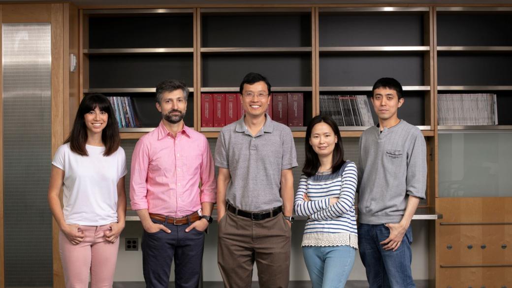 Ding Lab | Columbia Stem Cell Initiative - CSCI