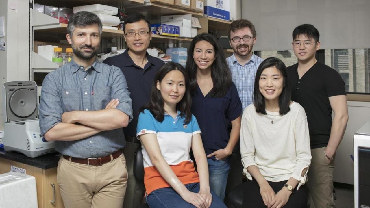 April 2019: Ding Lab | Columbia Stem Cell Initiative - CSCI