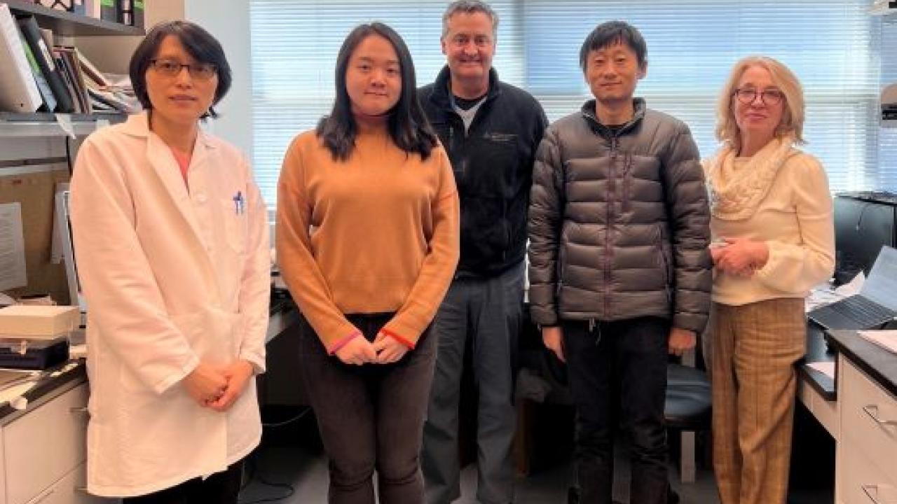 Csci Member Spotlight Columbia Stem Cell Initiative Csci