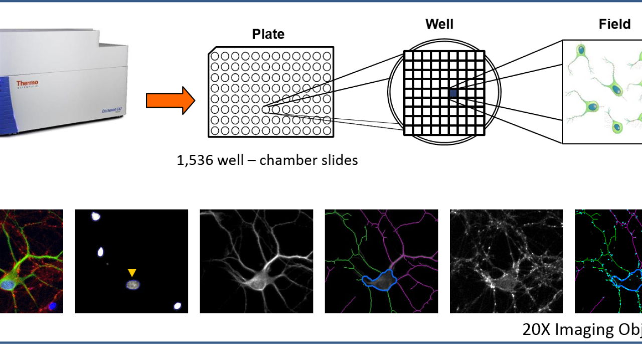 High Content Imaging is here! | Columbia Stem Cell Initiative - CSCI