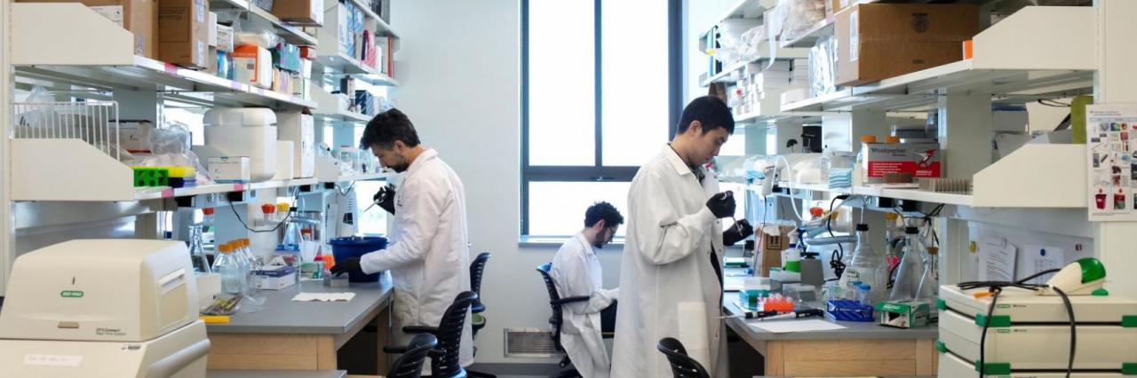 Columbia Stem Cell Initiative - CSCI